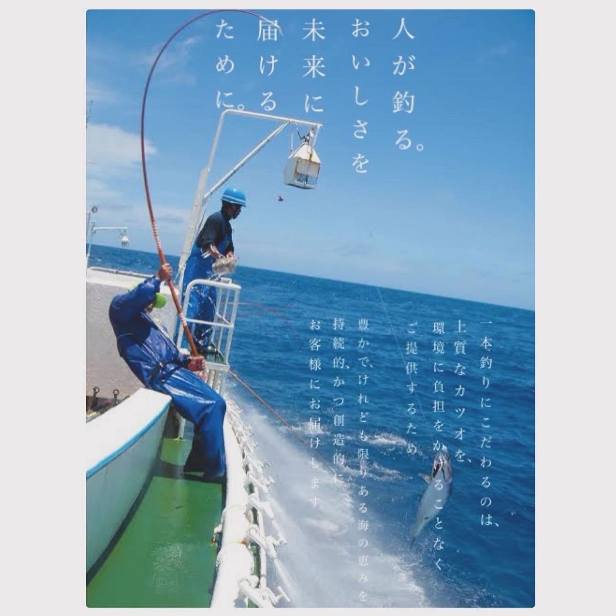 3/15 カツオ！ – IBREW